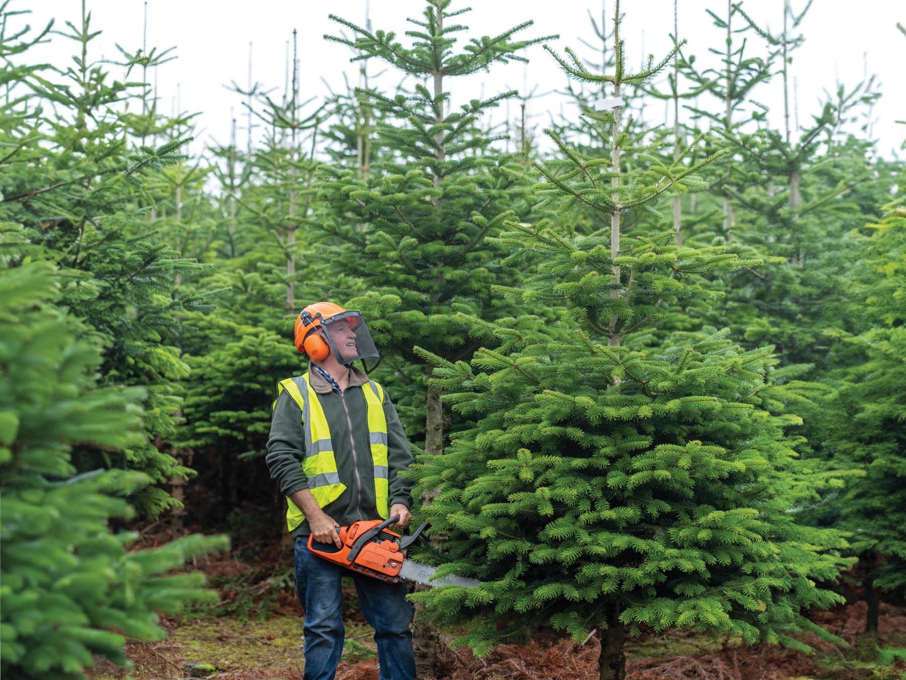 Supermarkets - Special Offers, Super Savers & More - Lidl Ireland - www ...