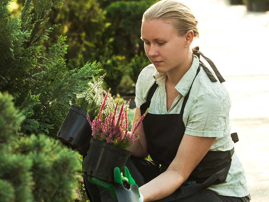 Supermarkets - Special Offers, Super Savers & More - Lidl Ireland - www ...