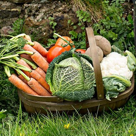 Vegetable Range
